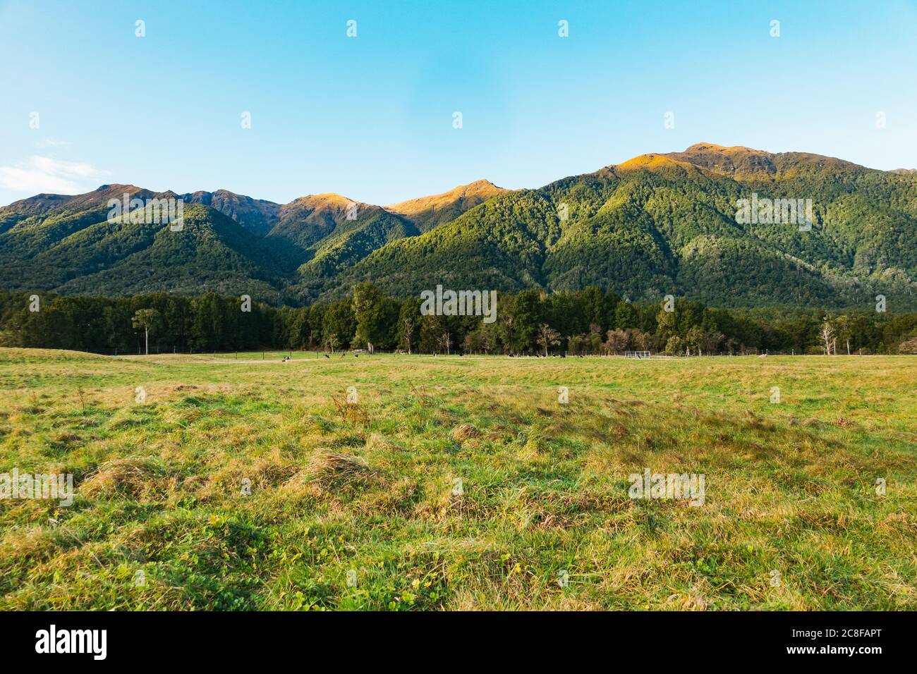 Neuseeland öde landschaft -Fotos und -Bildmaterial in hoher Auflösung ...
