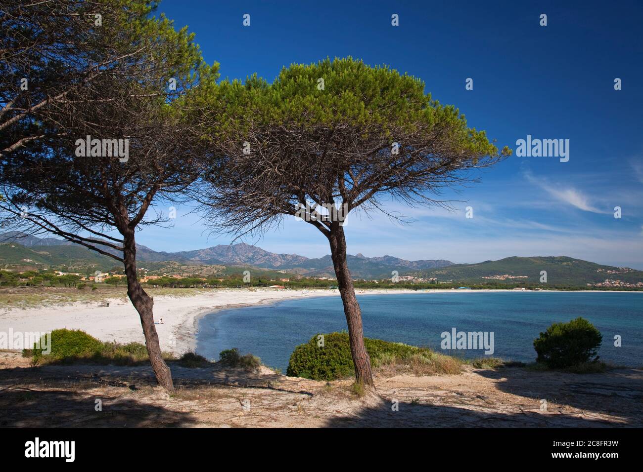 Pinien am strand von porto ainu -Fotos und -Bildmaterial in hoher ...