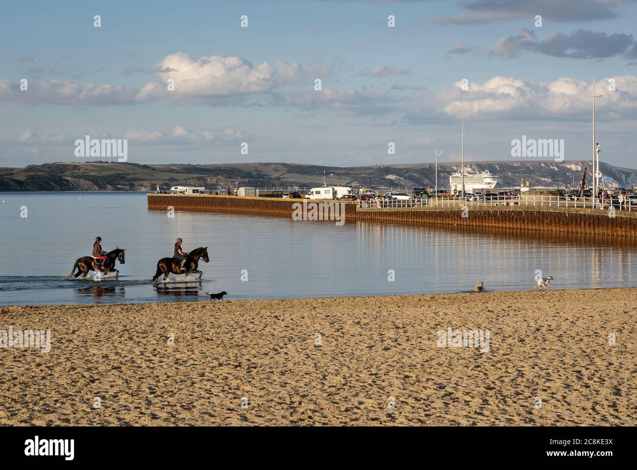 Pferd im meer -Fotos und -Bildmaterial in hoher Auflösung – Alamy