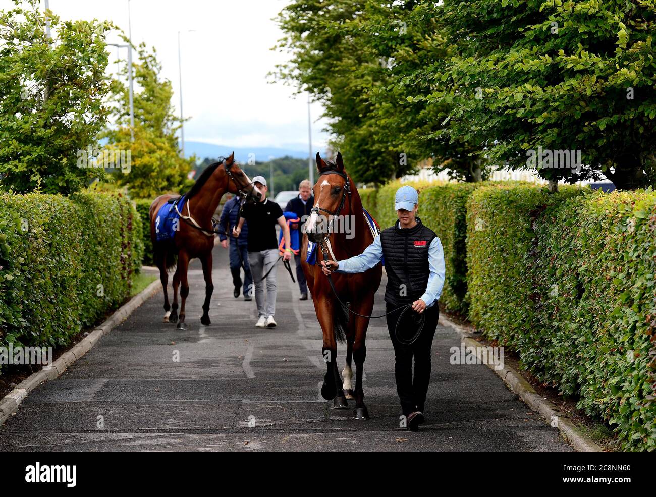Trainer ger lyons stall -Fotos und -Bildmaterial in hoher Auflösung – Alamy