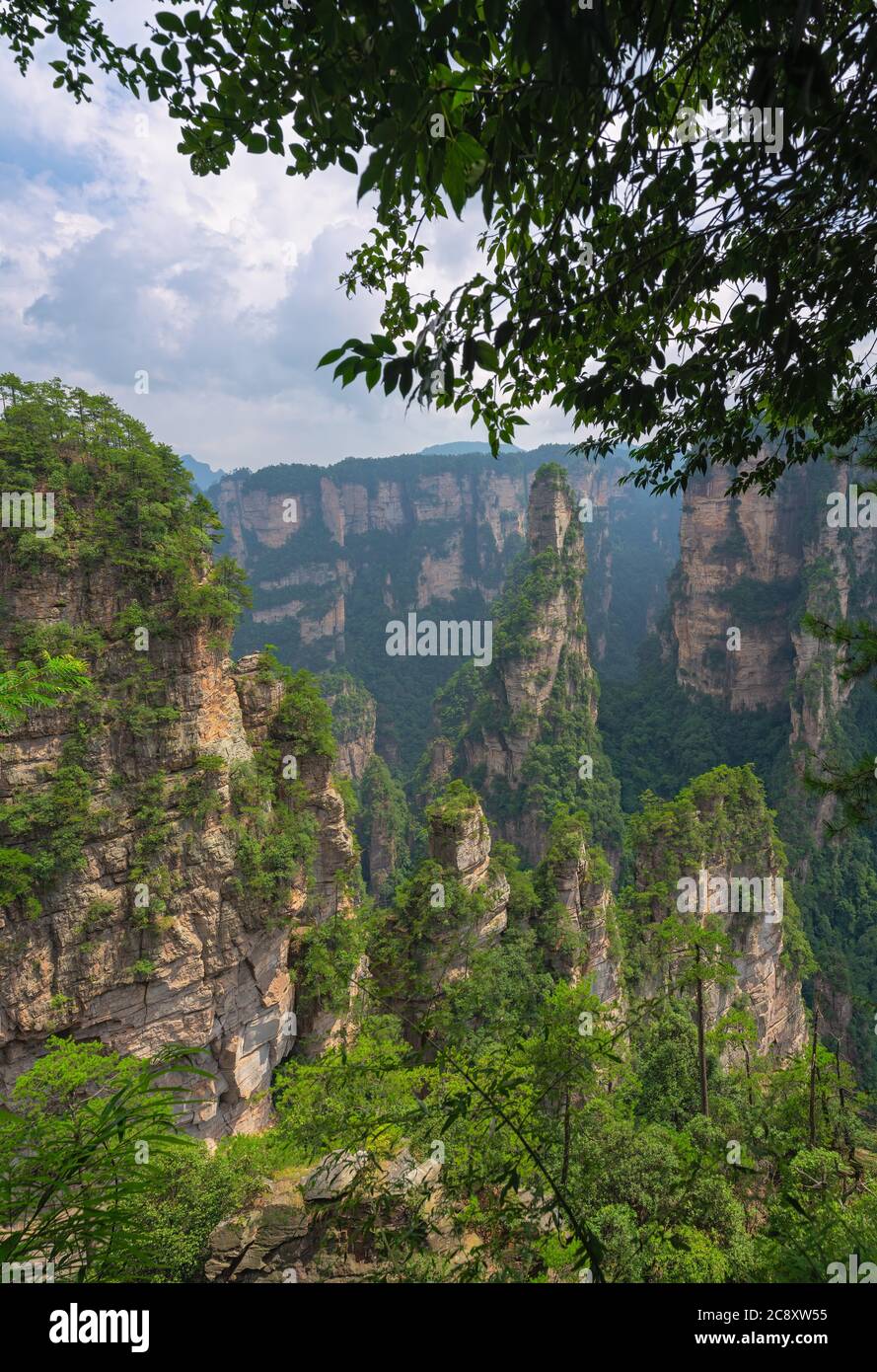 Vertikale Karstsäulen Felsformationen aus der Sicht der Enchanted ...