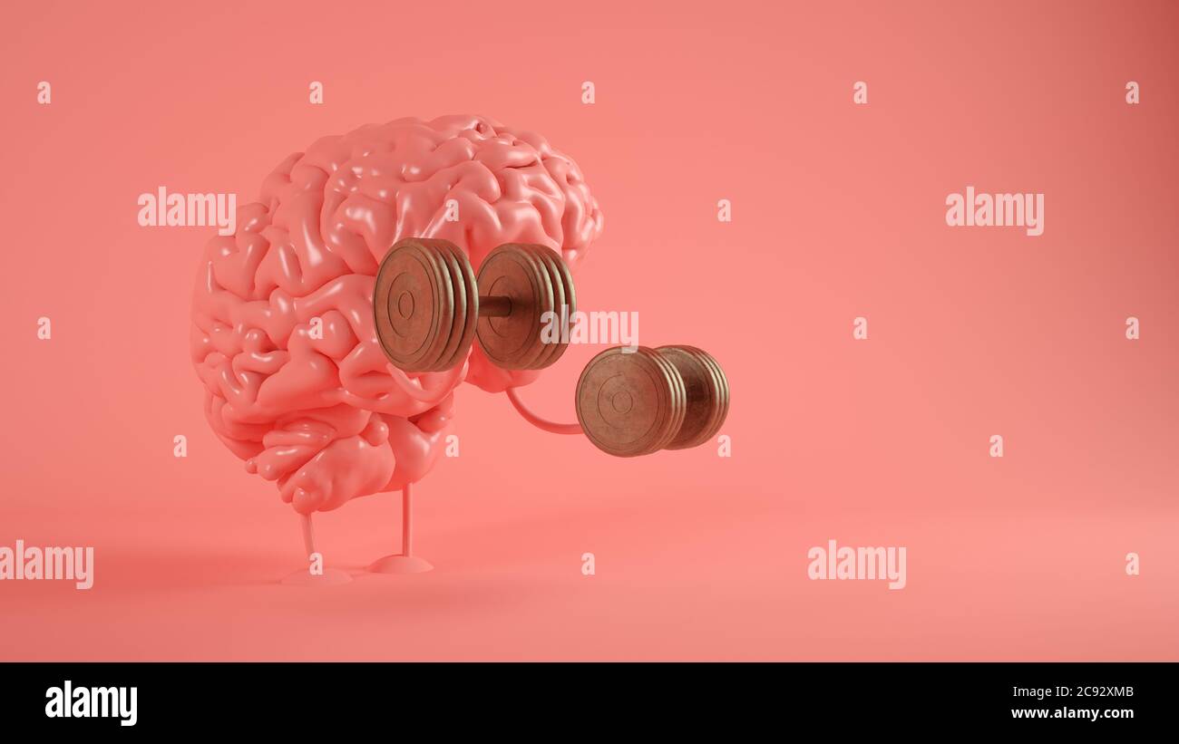 Brain training -Fotos und -Bildmaterial in hoher Auflösung – Alamy