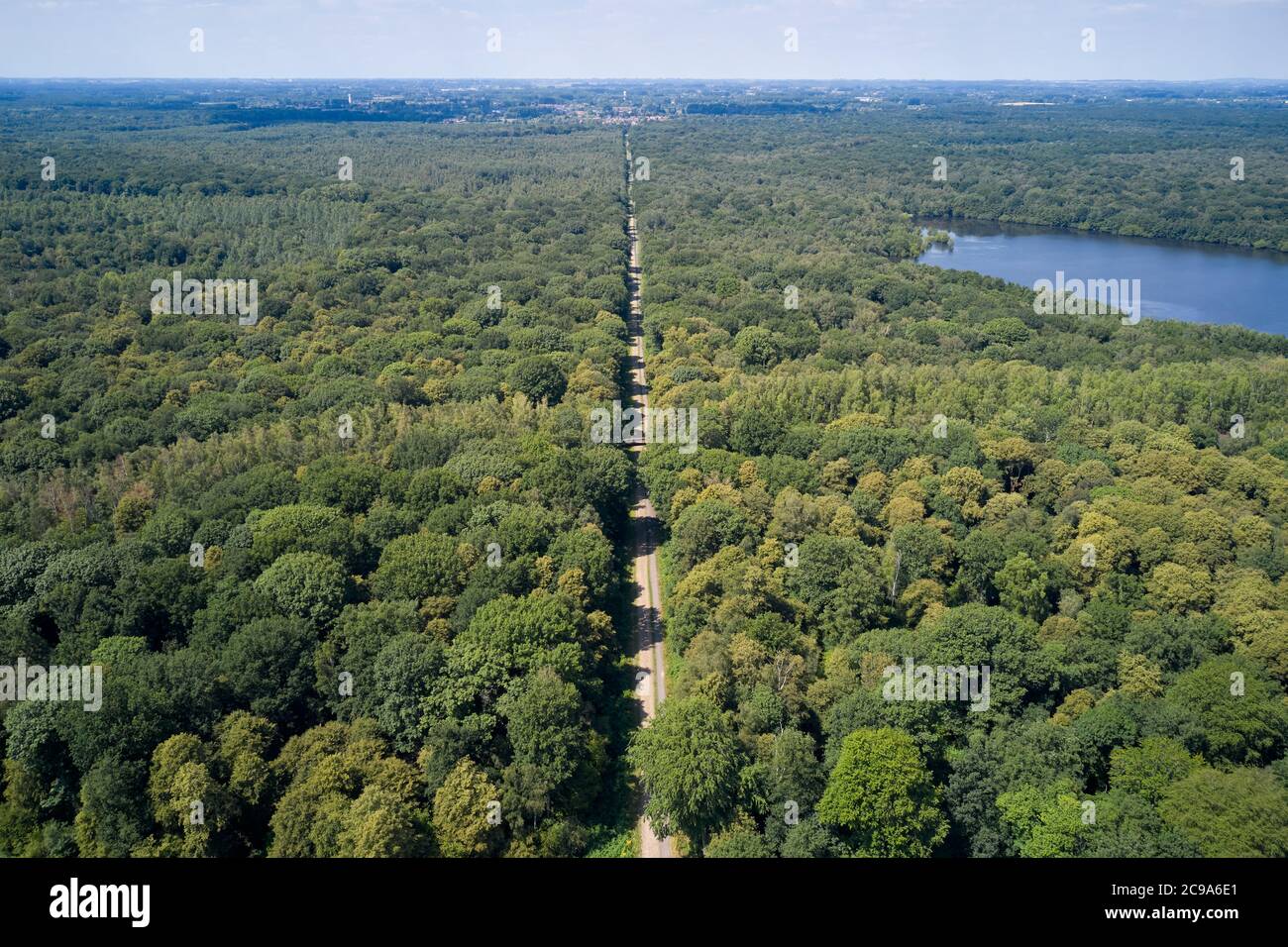 Der Arenberg-Wald zeigt den Arenberg-Graben, der durch die Bäume ...