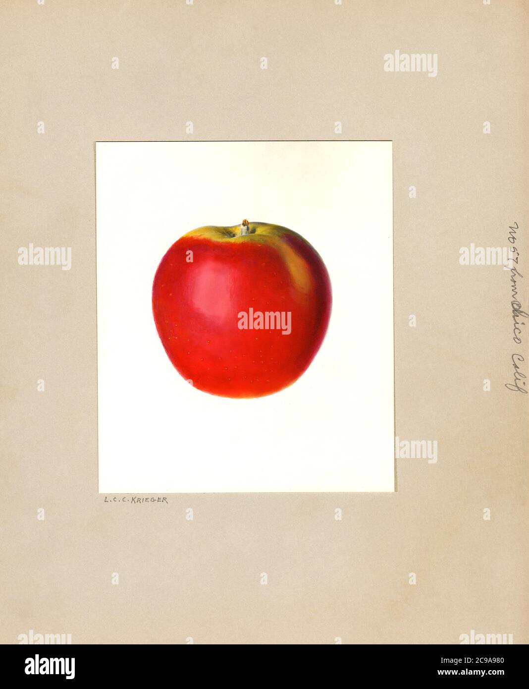 Christopher krieger -Fotos und -Bildmaterial in hoher Auflösung – Alamy