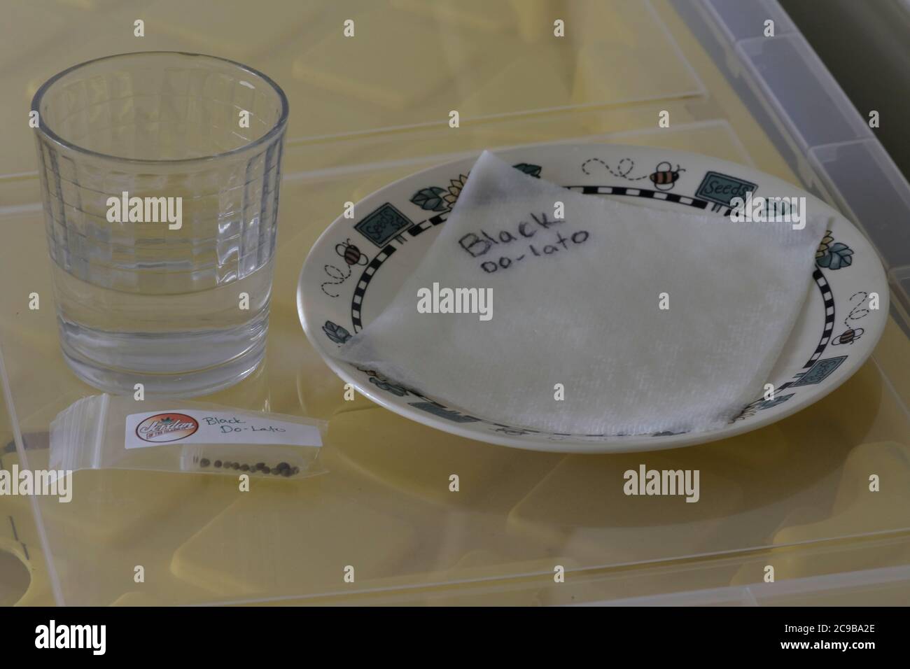 Cannabis papiertuch -Fotos und -Bildmaterial in hoher Auflösung – Alamy