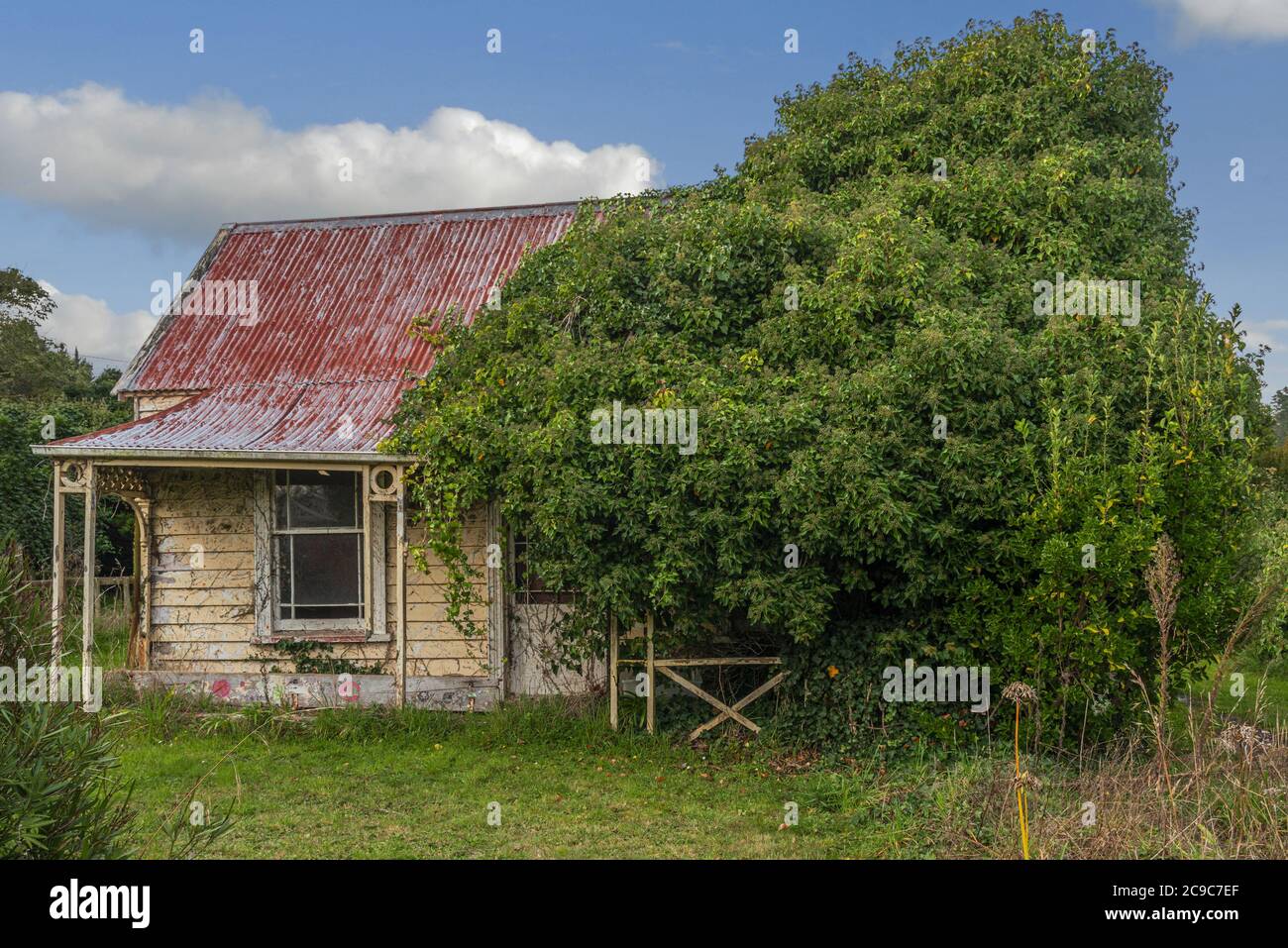 Altes haus mit efeu -Fotos und -Bildmaterial in hoher Auflösung – Alamy