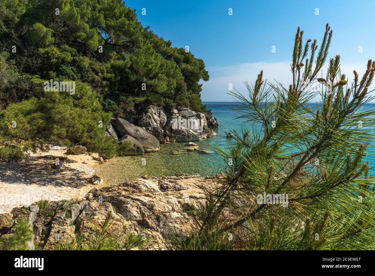 Schöner Strand umgeben von Nadelwäldern auf der Insel Rab in der Nähe ...