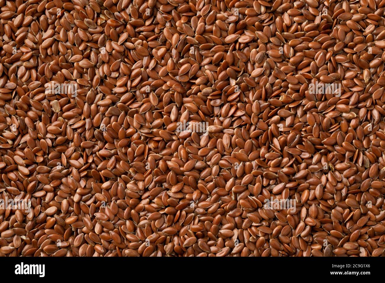 Flachs leinsamen -Fotos und -Bildmaterial in hoher Auflösung – Alamy