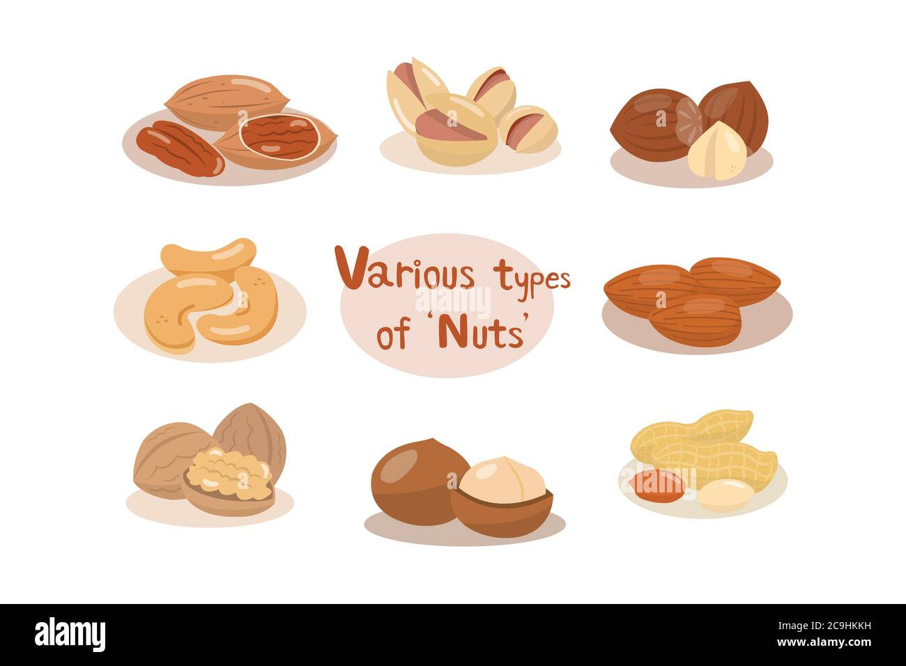 Beliebte arten Stock-Vektorgrafiken kaufen - Alamy