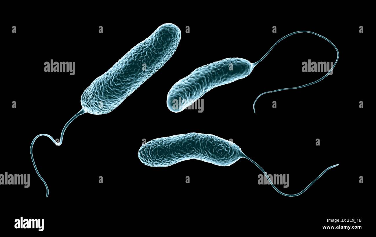 Ideonella sakaiensis -Fotos und -Bildmaterial in hoher Auflösung – Alamy