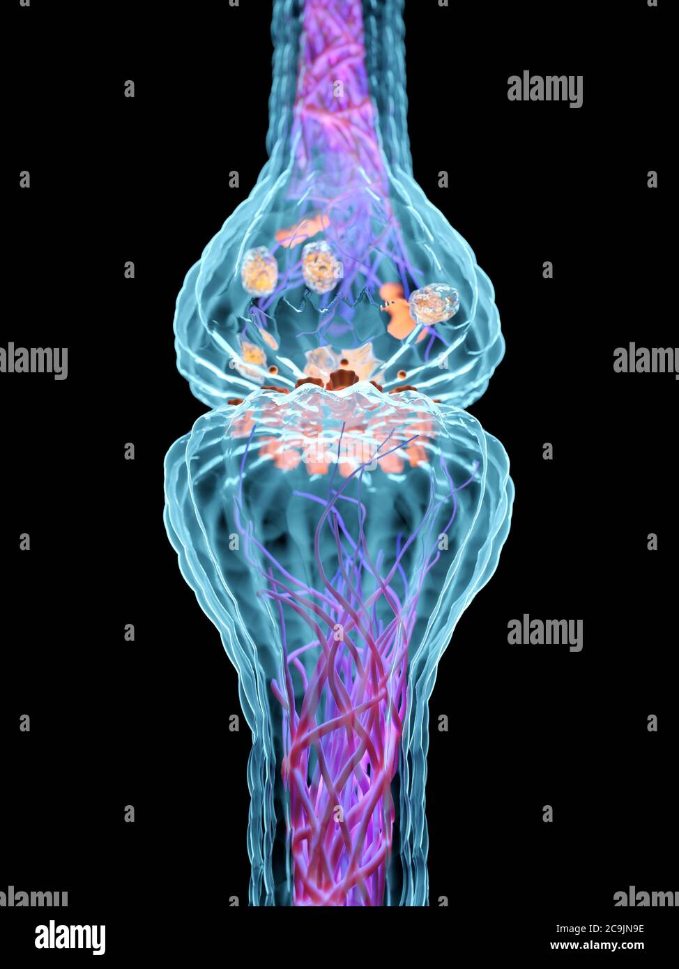 Synapse computer abbildung der synapse -Fotos und -Bildmaterial in ...