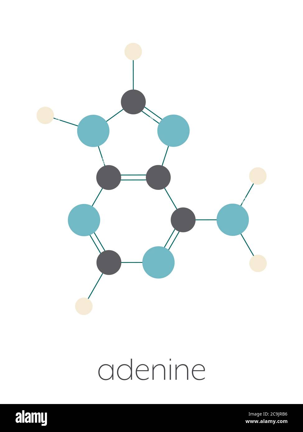 Adenin (A, Adenin)-Purin-Nukleobase-Molekül. Basis in DNA und RNA ...