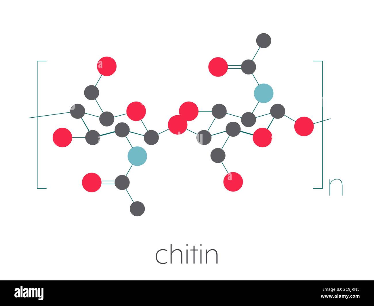 Chitin, chemische Struktur. Chitin ist ein Polymer aus N ...