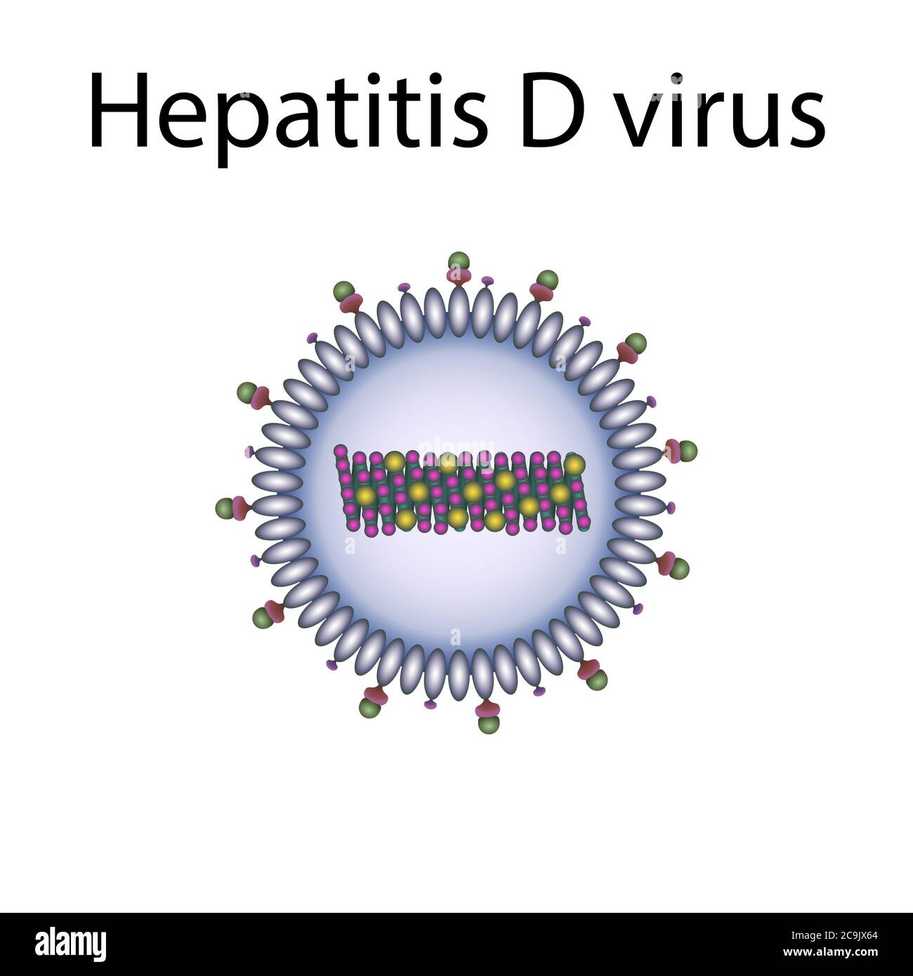 Hepatitis d -Fotos und -Bildmaterial in hoher Auflösung – Alamy