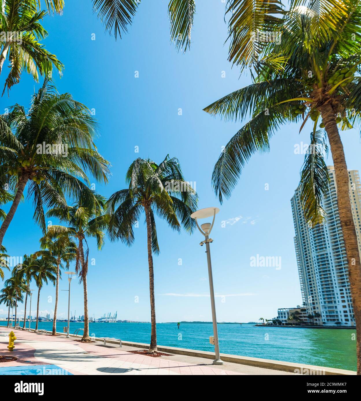 Struktur auf miami river walk -Fotos und -Bildmaterial in hoher ...