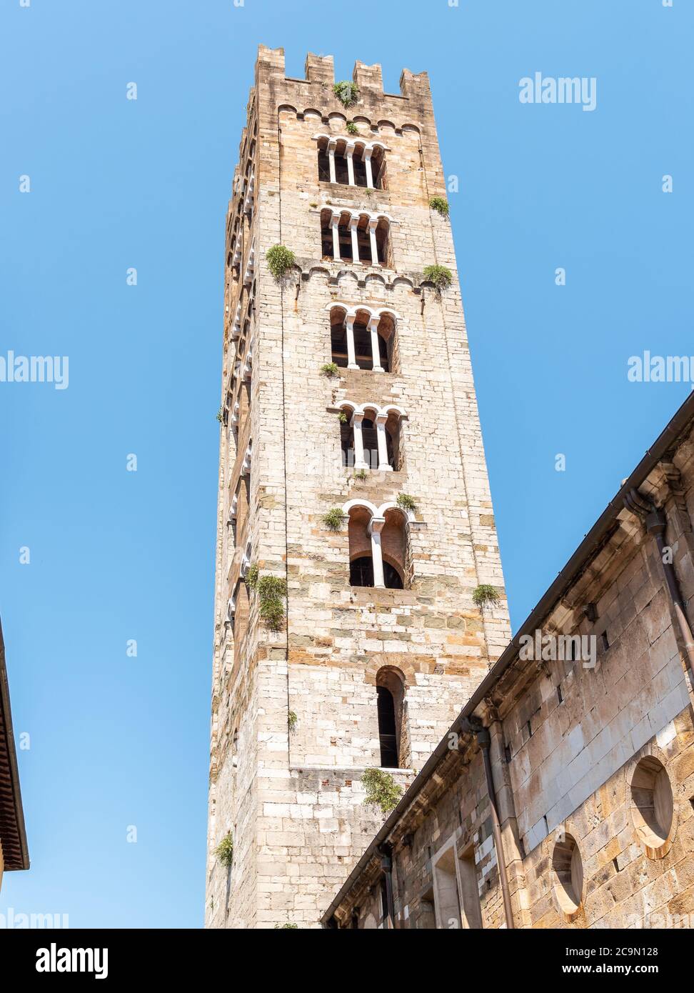 Glockenturm der Basilika San Frediano, ist eine romanische Kirche in ...