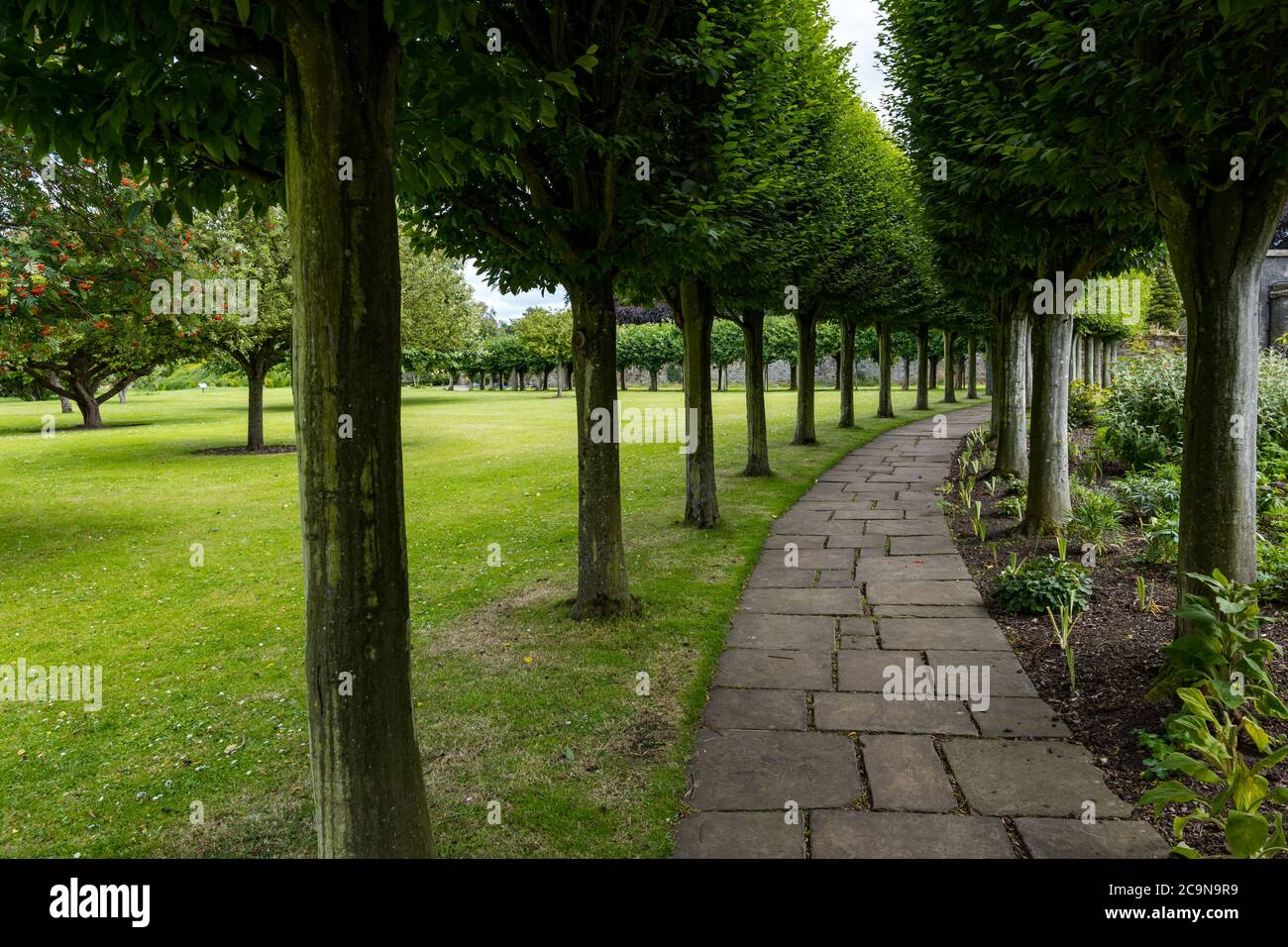 Hainbuche Allee Stockfotos und -bilder Kaufen - Alamy