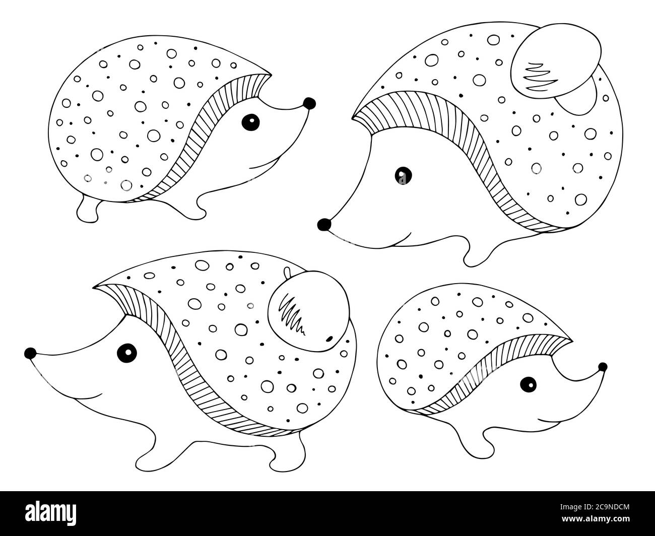 Igel Set Grafik schwarz weiß isoliert Skizze Illustration Vektor Stock ...