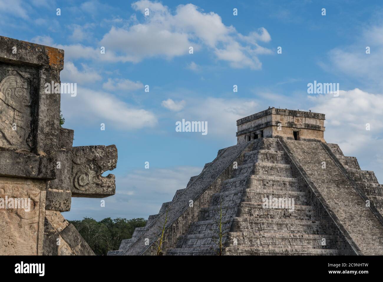 Einheimische adler -Fotos und -Bildmaterial in hoher Auflösung – Alamy