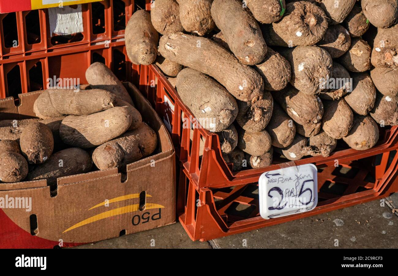 Food vegetable exotic yam yams -Fotos und -Bildmaterial in hoher ...