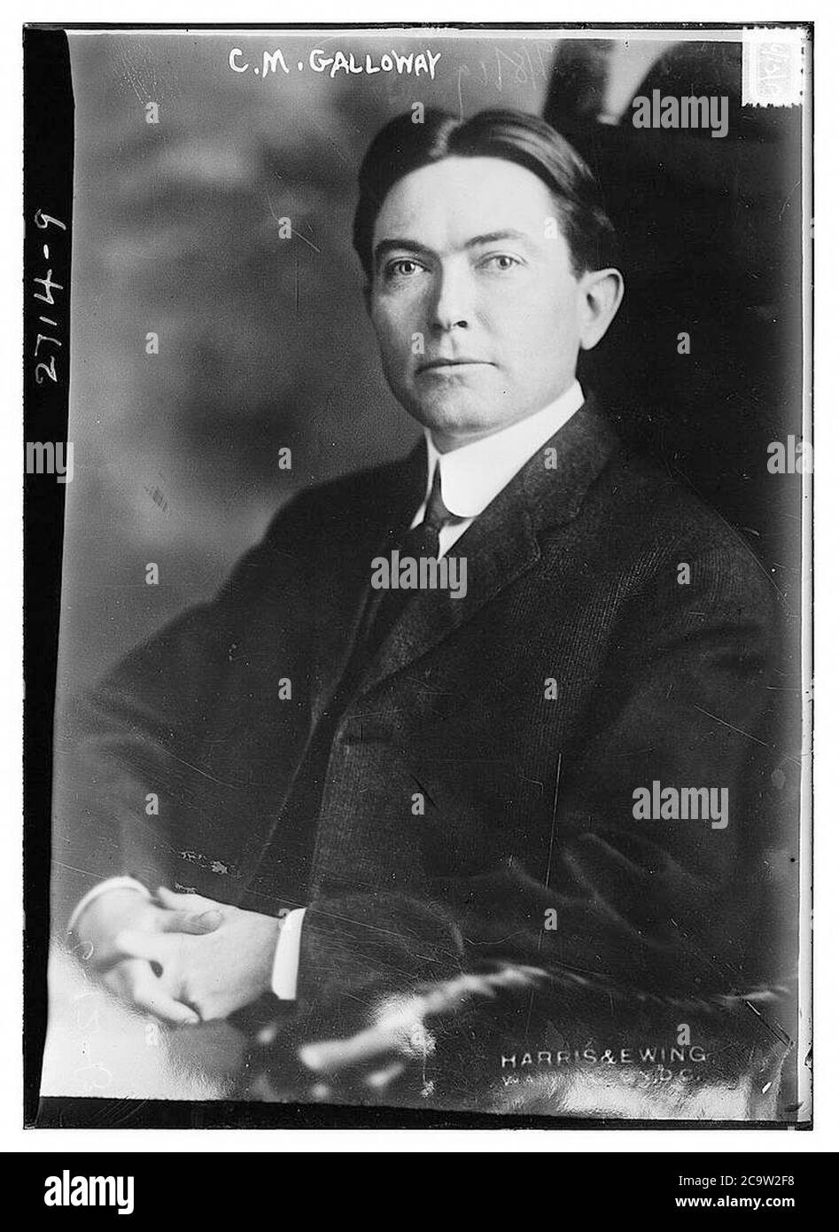 Portrait galloway schwarz weiss -Fotos und -Bildmaterial in hoher ...