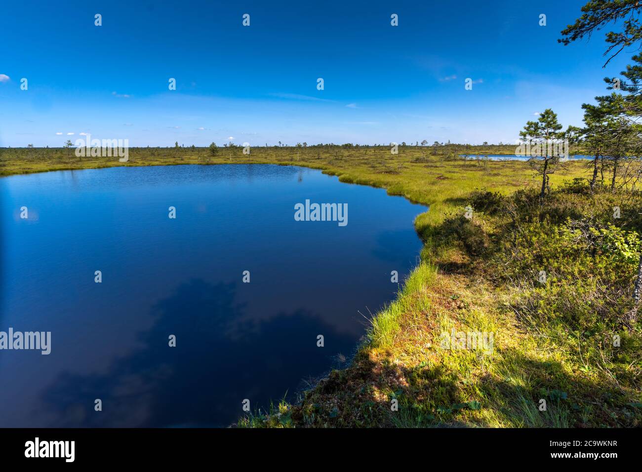 Baltisches Moor Stockfotos und -bilder Kaufen - Alamy