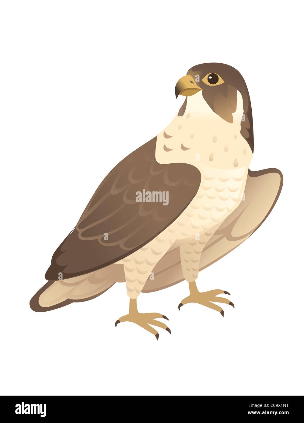 Cartoon Falke Stockfotos und -bilder Kaufen - Alamy