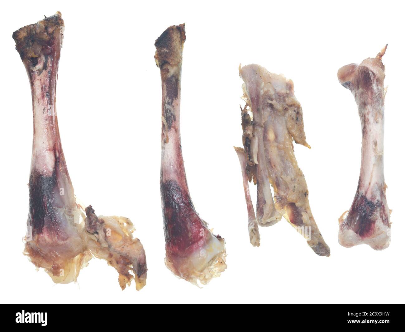 Knochenmark essen -Fotos und -Bildmaterial in hoher Auflösung – Alamy