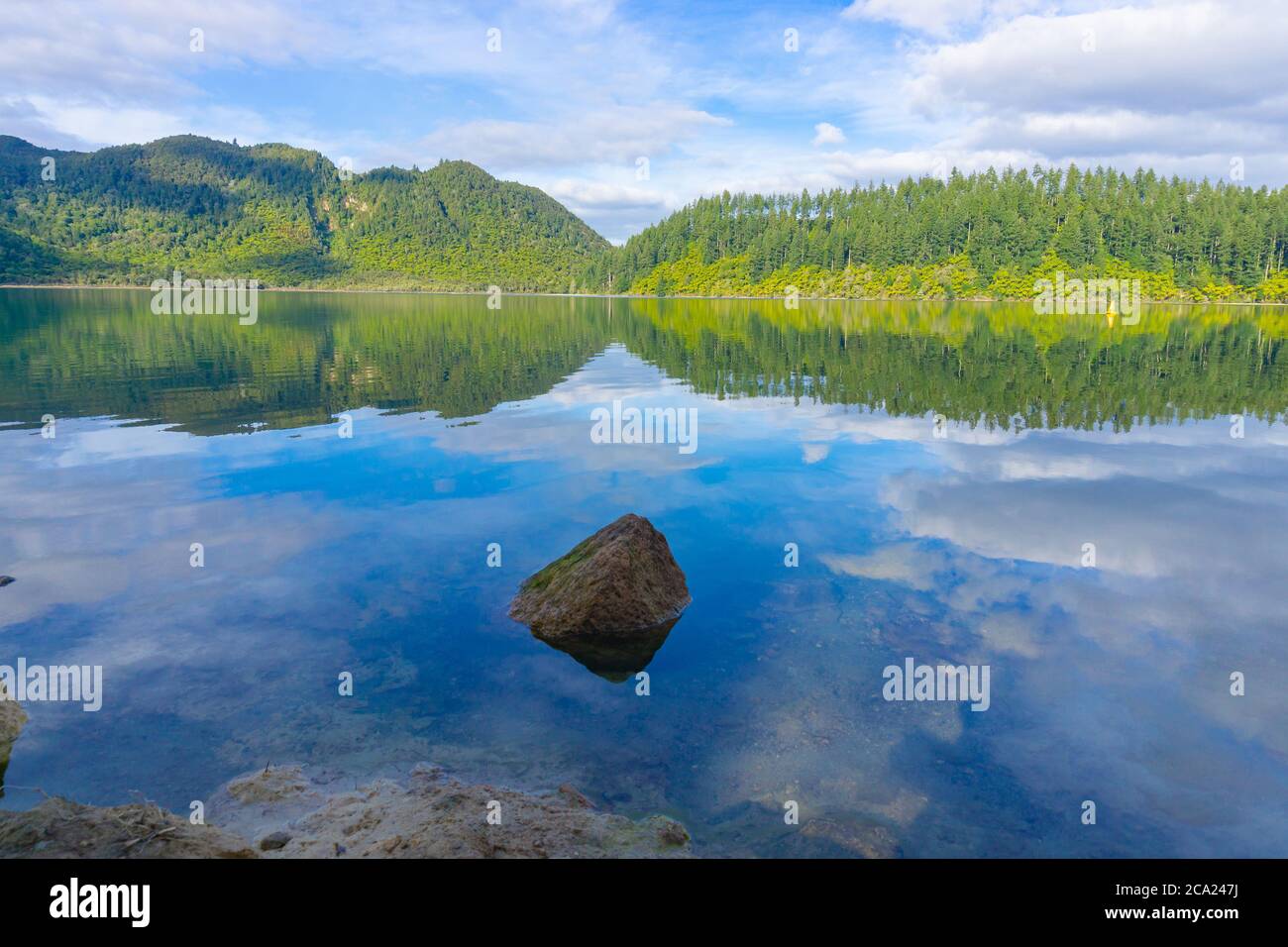 Blick über den ruhigen Blue Lake zu Farnen und Bäumen auf der anderen ...