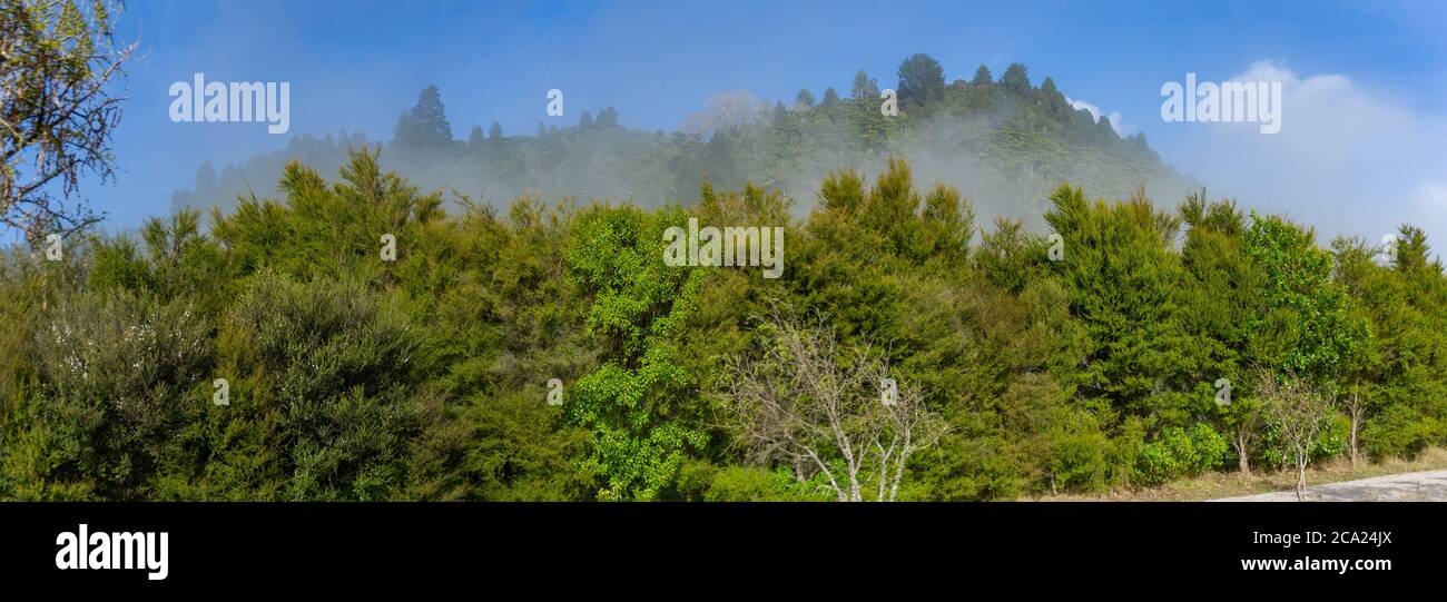 Typisch Neuseeland Stockfotos und -bilder Kaufen - Alamy