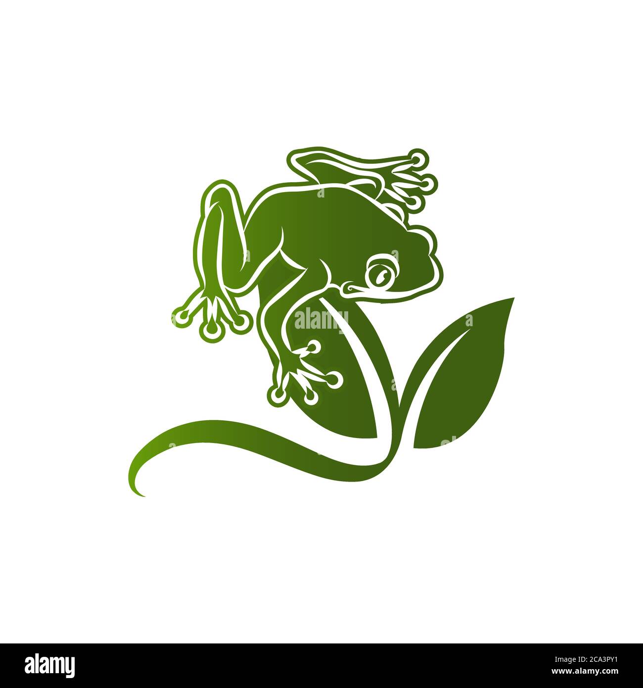 Frosch vektor vektoren -Fotos und -Bildmaterial in hoher Auflösung – Alamy