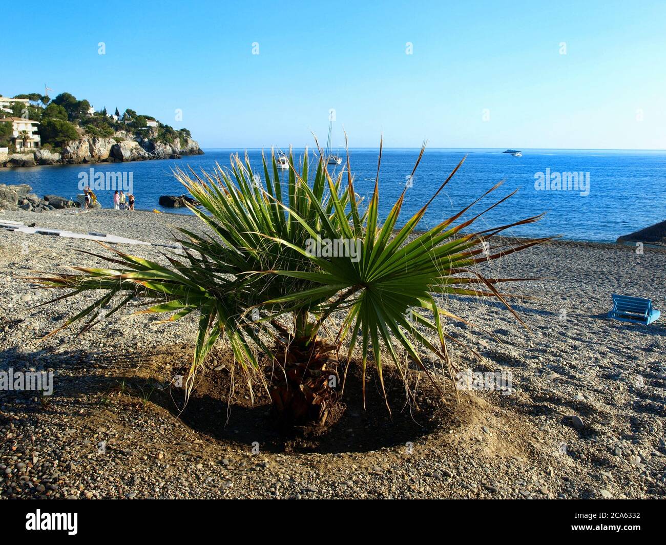 Südsee strand palme -Fotos und -Bildmaterial in hoher Auflösung – Alamy