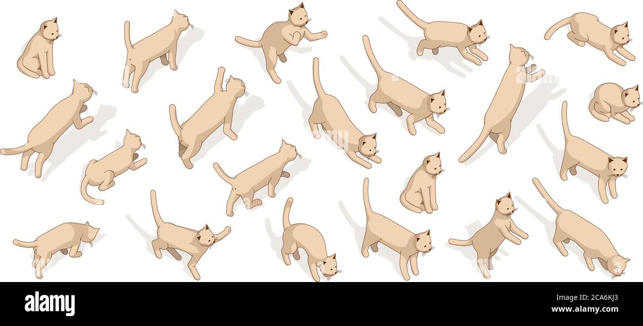 Isometrisches Posing-Set der Katze. 3d Hauskatzen Vektor Illustration ...