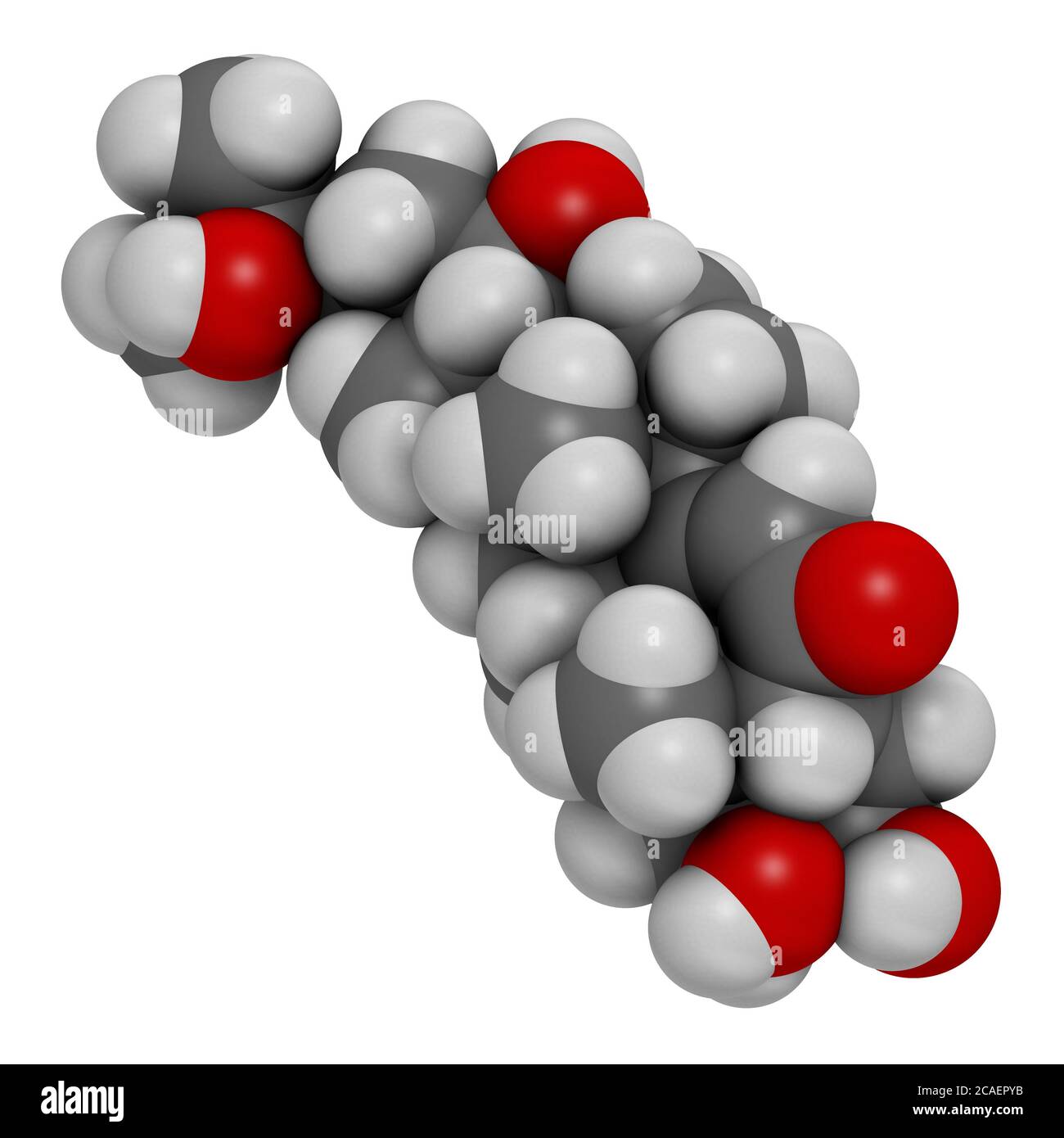 Ecdysteroid hormon -Fotos und -Bildmaterial in hoher Auflösung – Alamy