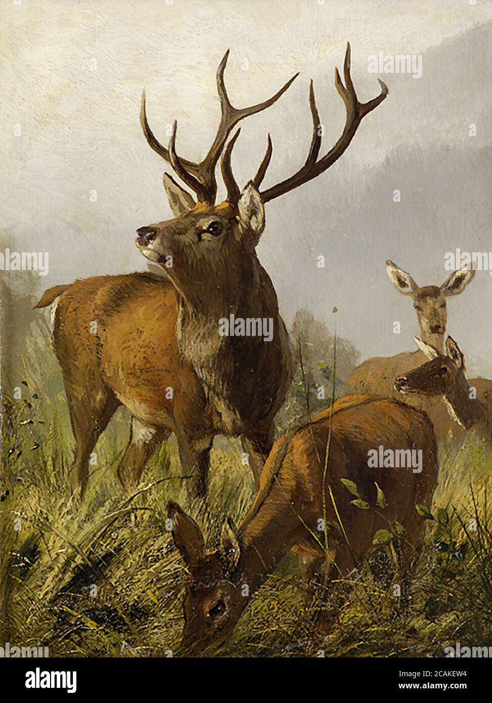 Carl hirsch -Fotos und -Bildmaterial in hoher Auflösung – Alamy