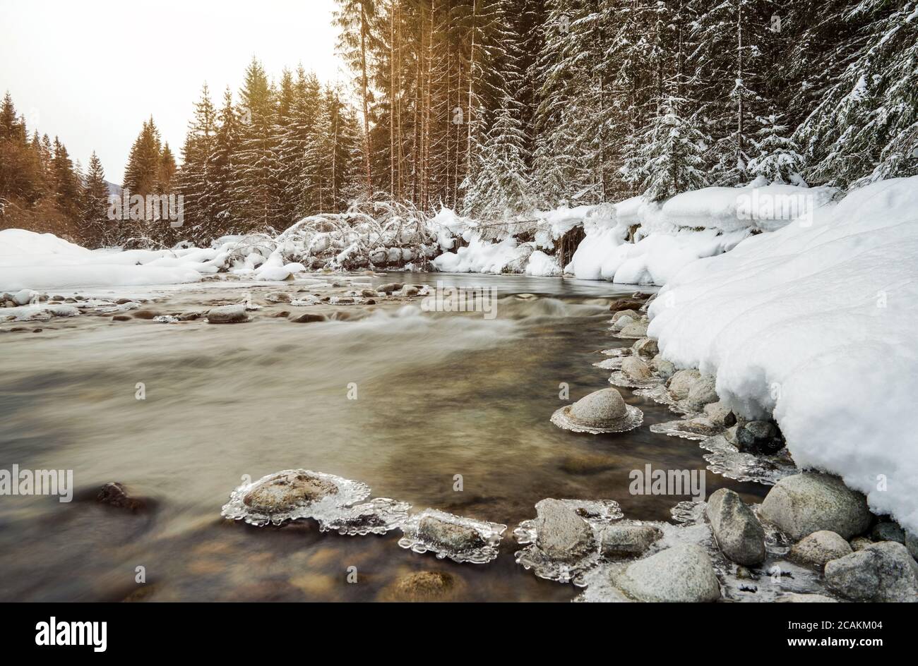 Heller Morgen Im Wald Stockfotos und -bilder Kaufen - Alamy