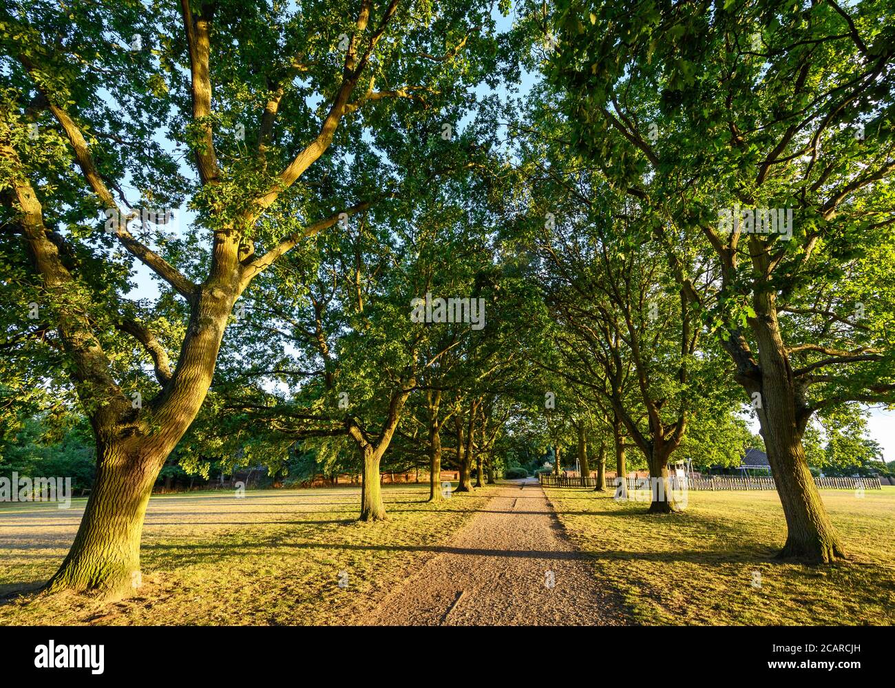 Weg mit langem gras an der seite -Fotos und -Bildmaterial in hoher ...