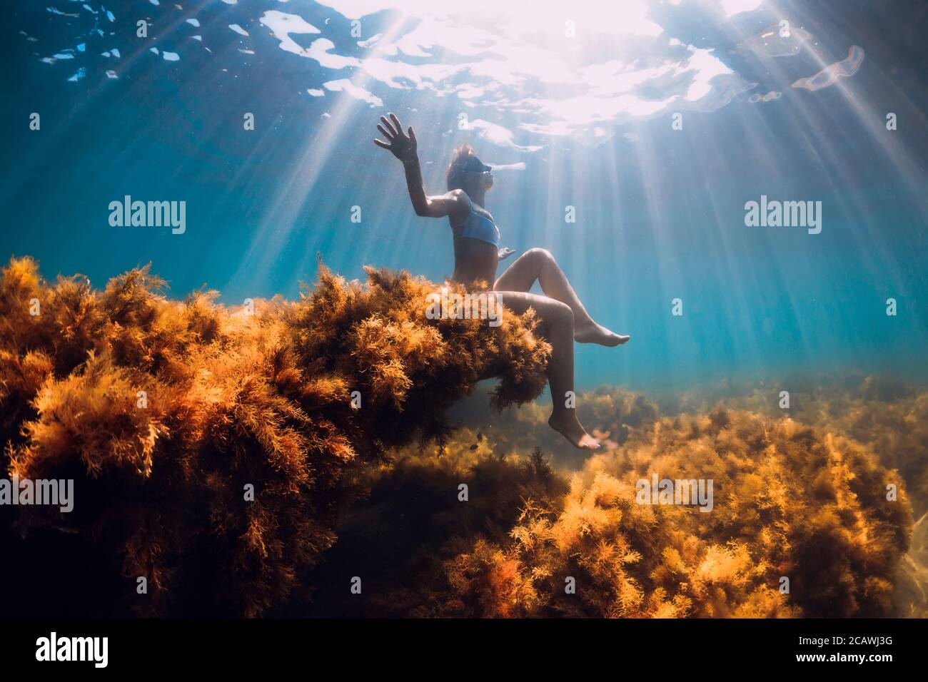 Frau Freitaucher sitzt am Felsen unter Wasser. Freitauchen im blauen ...