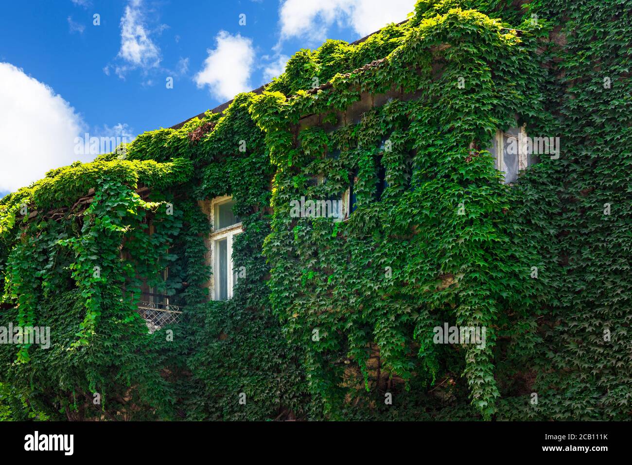 Altes haus mit efeu und schönen garten -Fotos und -Bildmaterial in ...