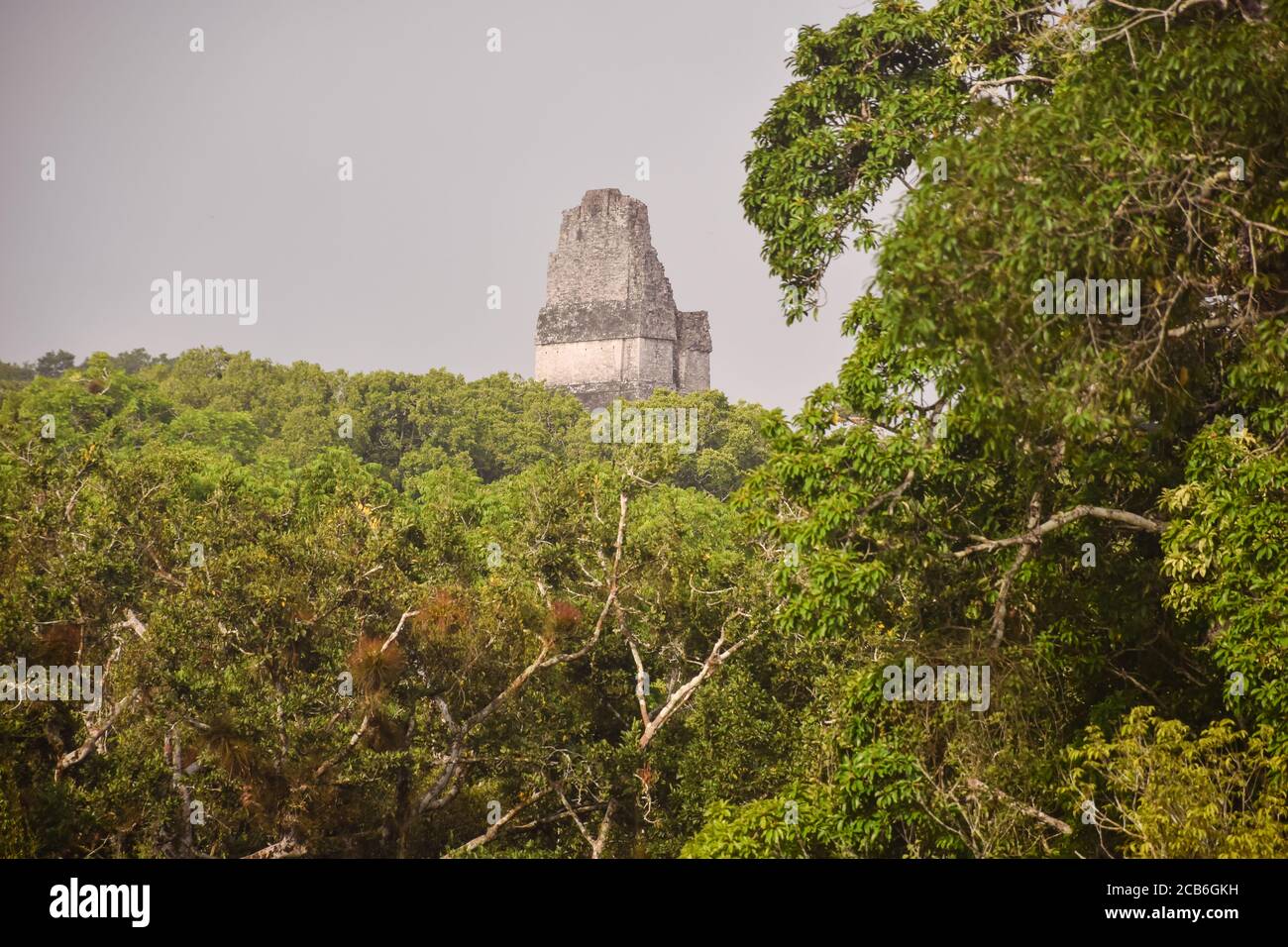 Tikal national park -Fotos und -Bildmaterial in hoher Auflösung – Alamy