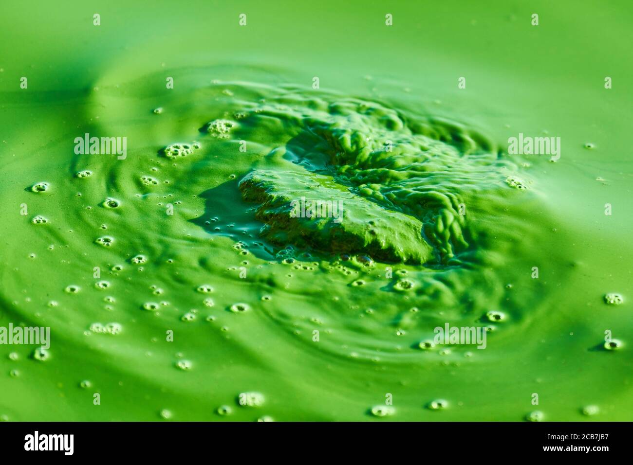 Garbage Pollution Lake Stockfotos und -bilder Kaufen - Alamy