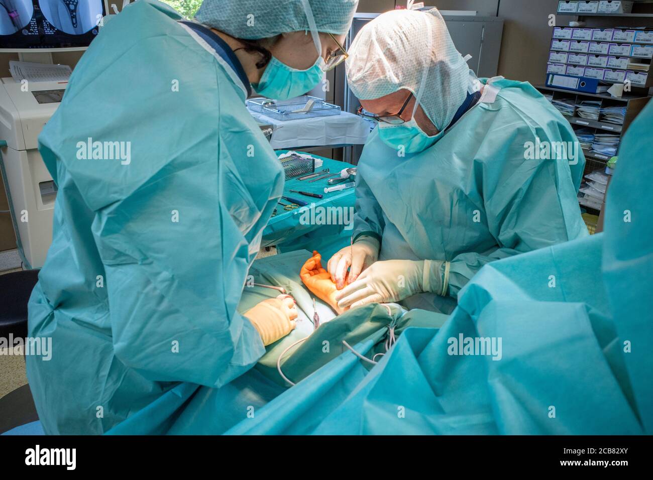 Forearm arm elbow injury xray -Fotos und -Bildmaterial in hoher ...