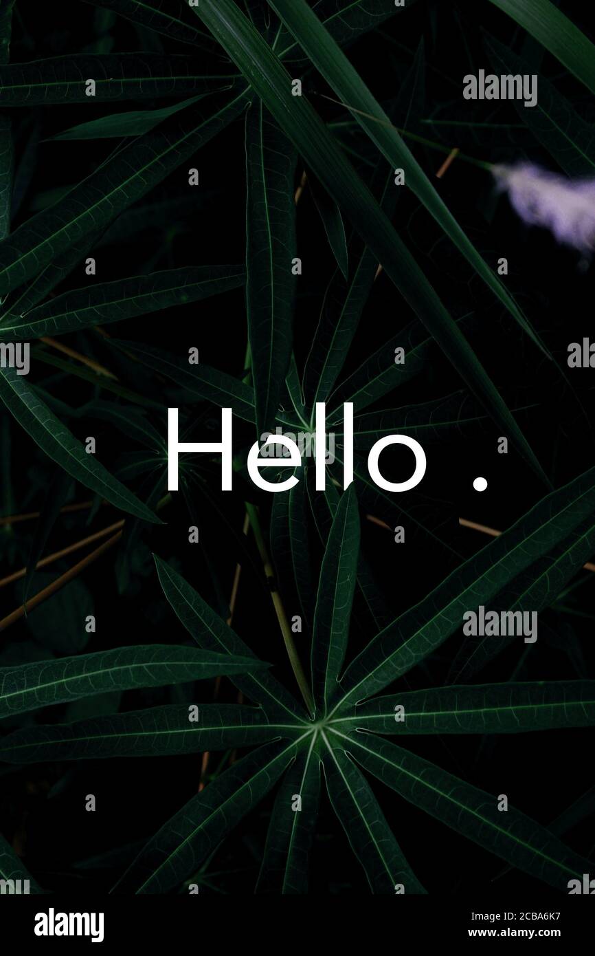 Bubble Hello Word Icon Illustration Stockfotos und -bilder Kaufen - Alamy