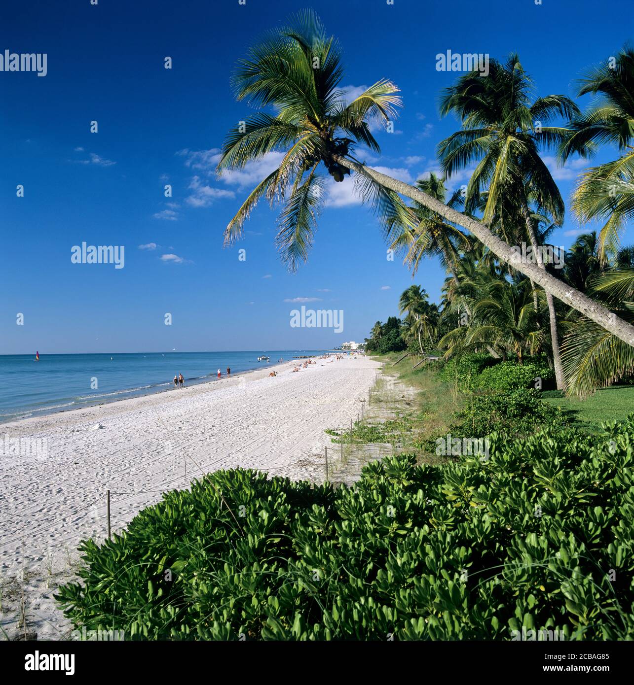 Naples florida strand -Fotos und -Bildmaterial in hoher Auflösung – Alamy