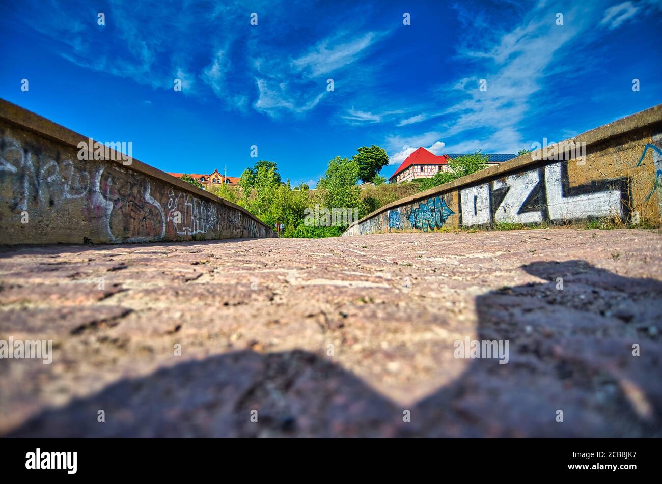 Weisse elster -Fotos und -Bildmaterial in hoher Auflösung – Alamy