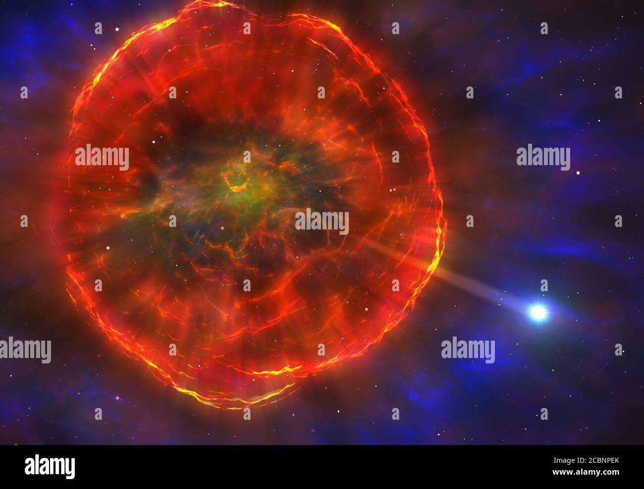 Weißer zwergstern -Fotos und -Bildmaterial in hoher Auflösung – Alamy