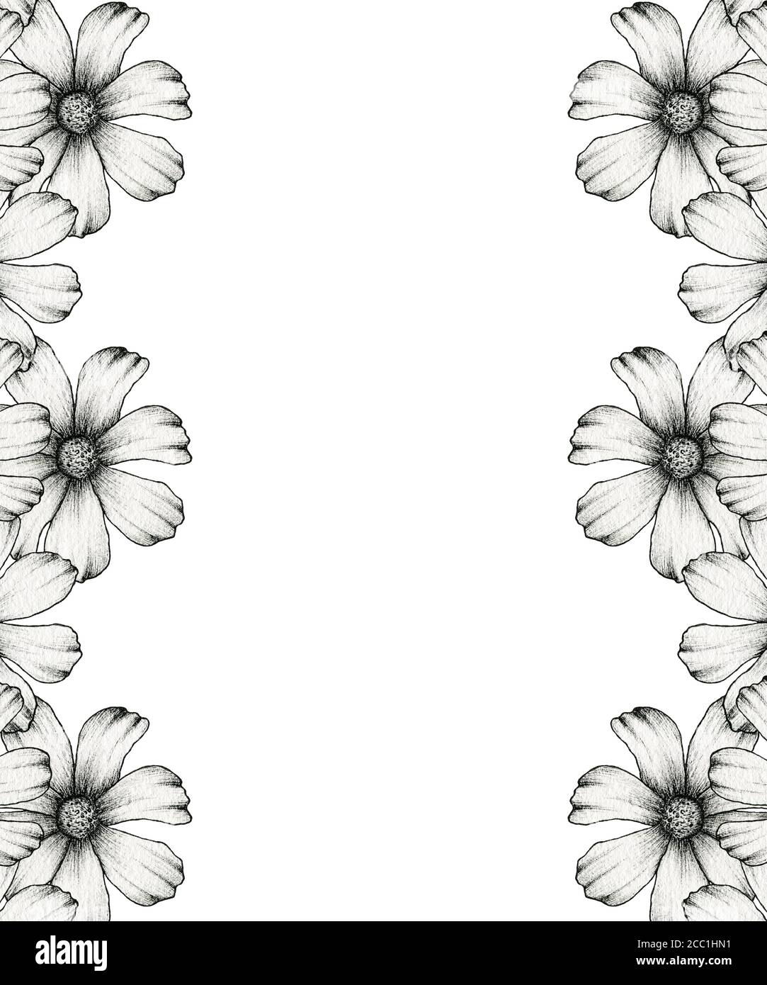 Schwarz Und Weiß Floralen Rahmen Design Handgezeichnete Kosmos Florale