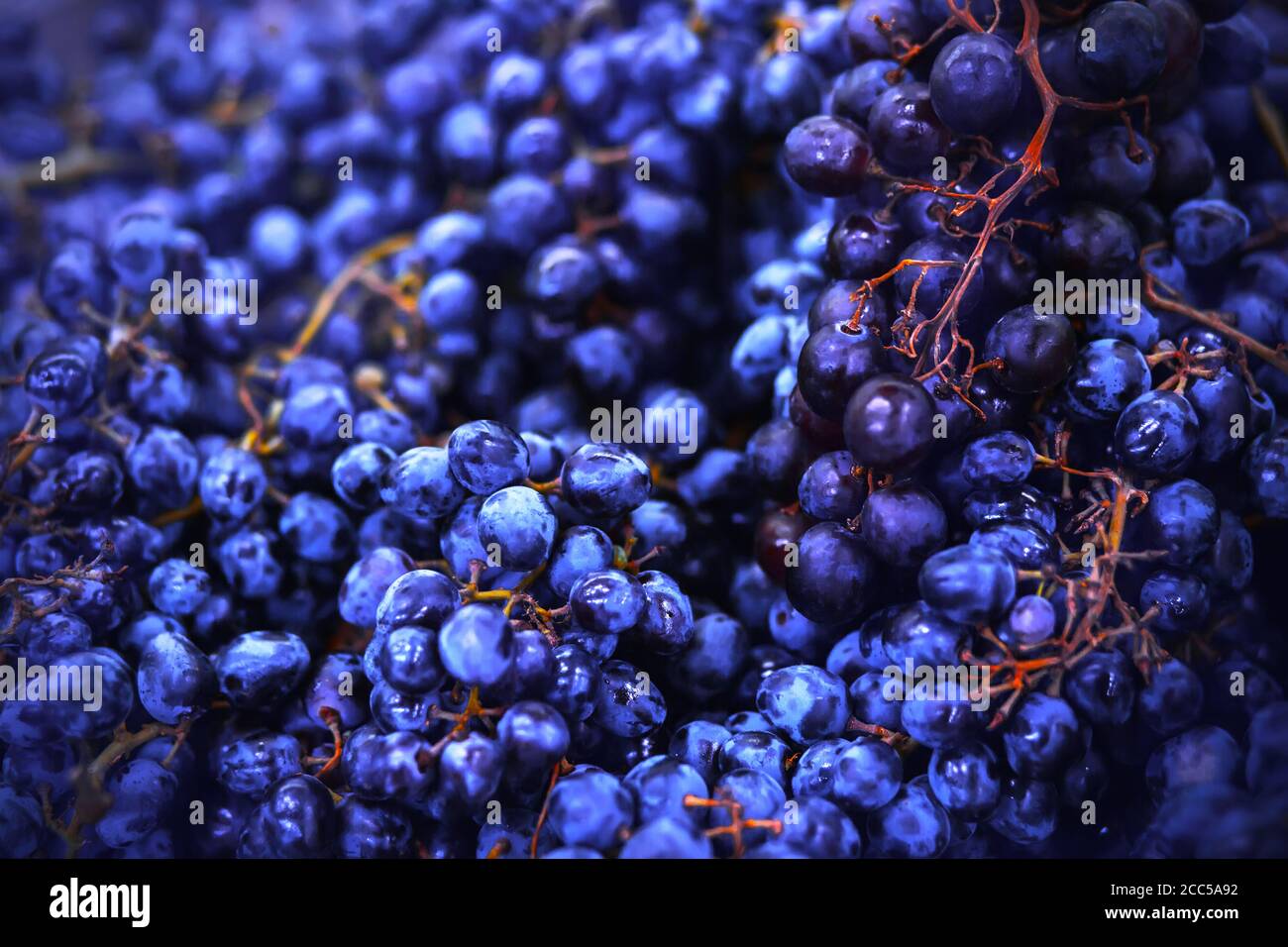 Traditioneller Markt Der Trauben Stockfotos und -bilder Kaufen - Alamy