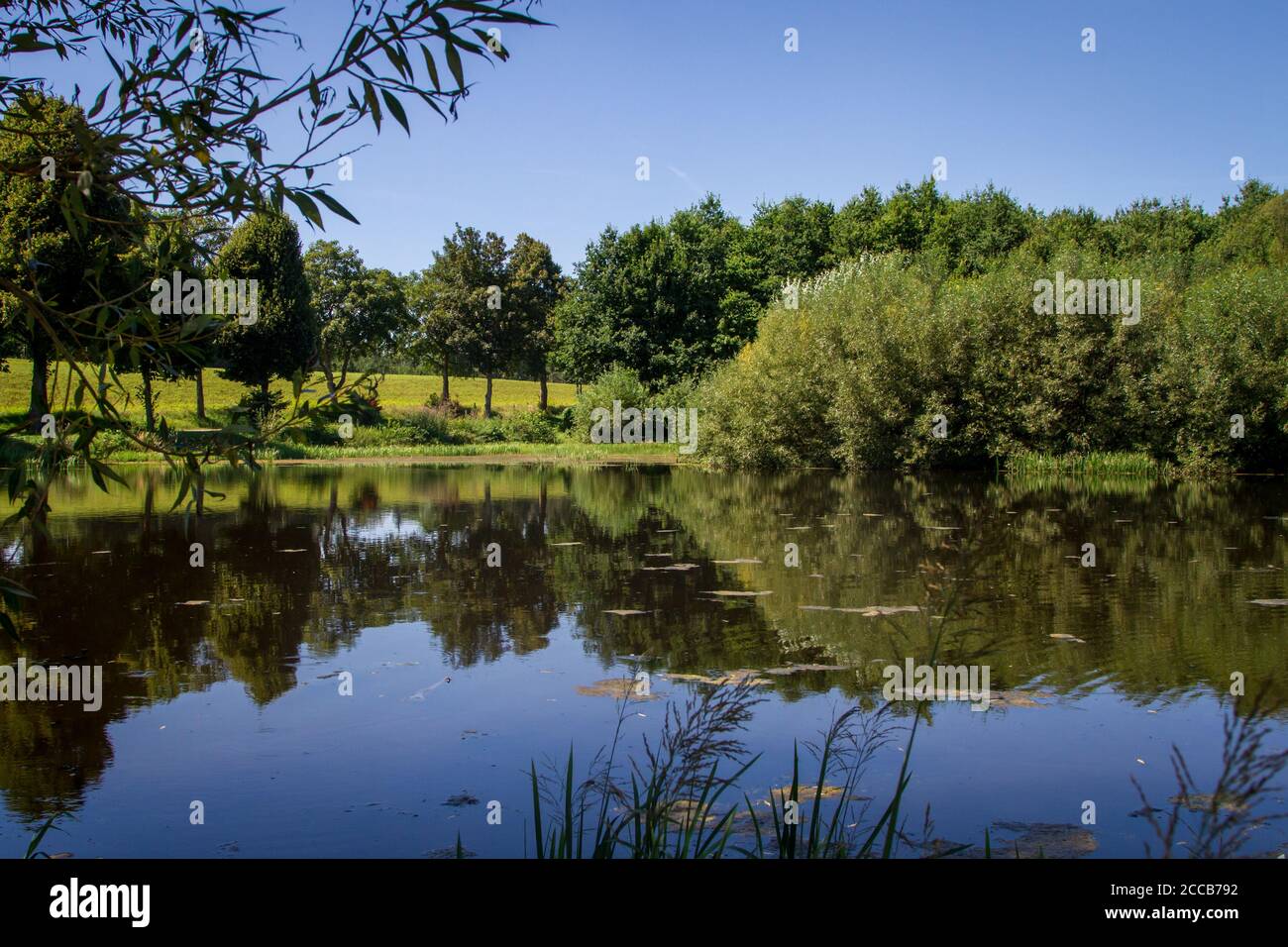 Schloss Waldrichs Schlossteich, Kamptal-Seenweg 620, Wandern bei Dobra ...