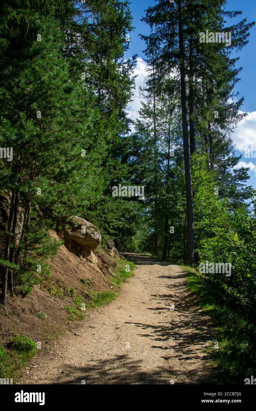 Wanderweg neben dem Ottenstein-Stausee, Kamptal-Seenweg 620, Wanderung ...
